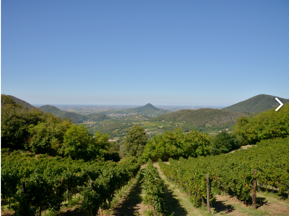 Lo Scarpone - I Colli Euganei candidati a Riserva della Biosfera Unesco
