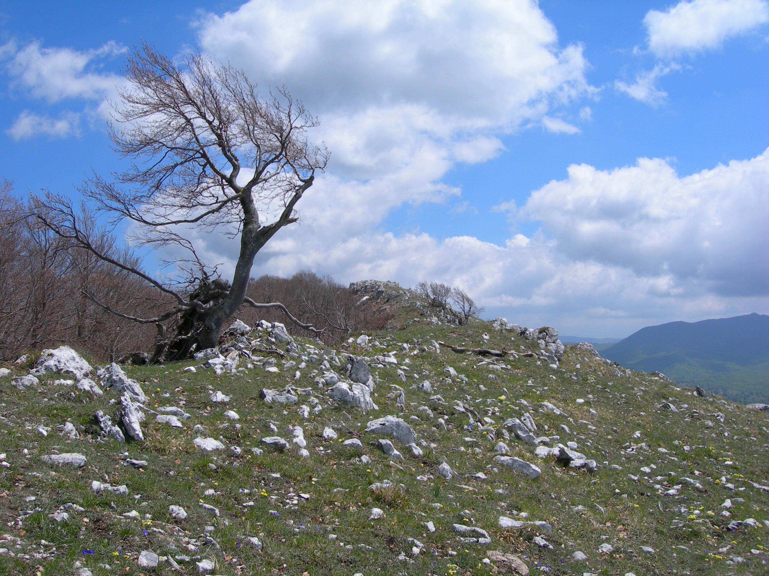 Lo Scarpone - Cima di Vallevona (1818 m)