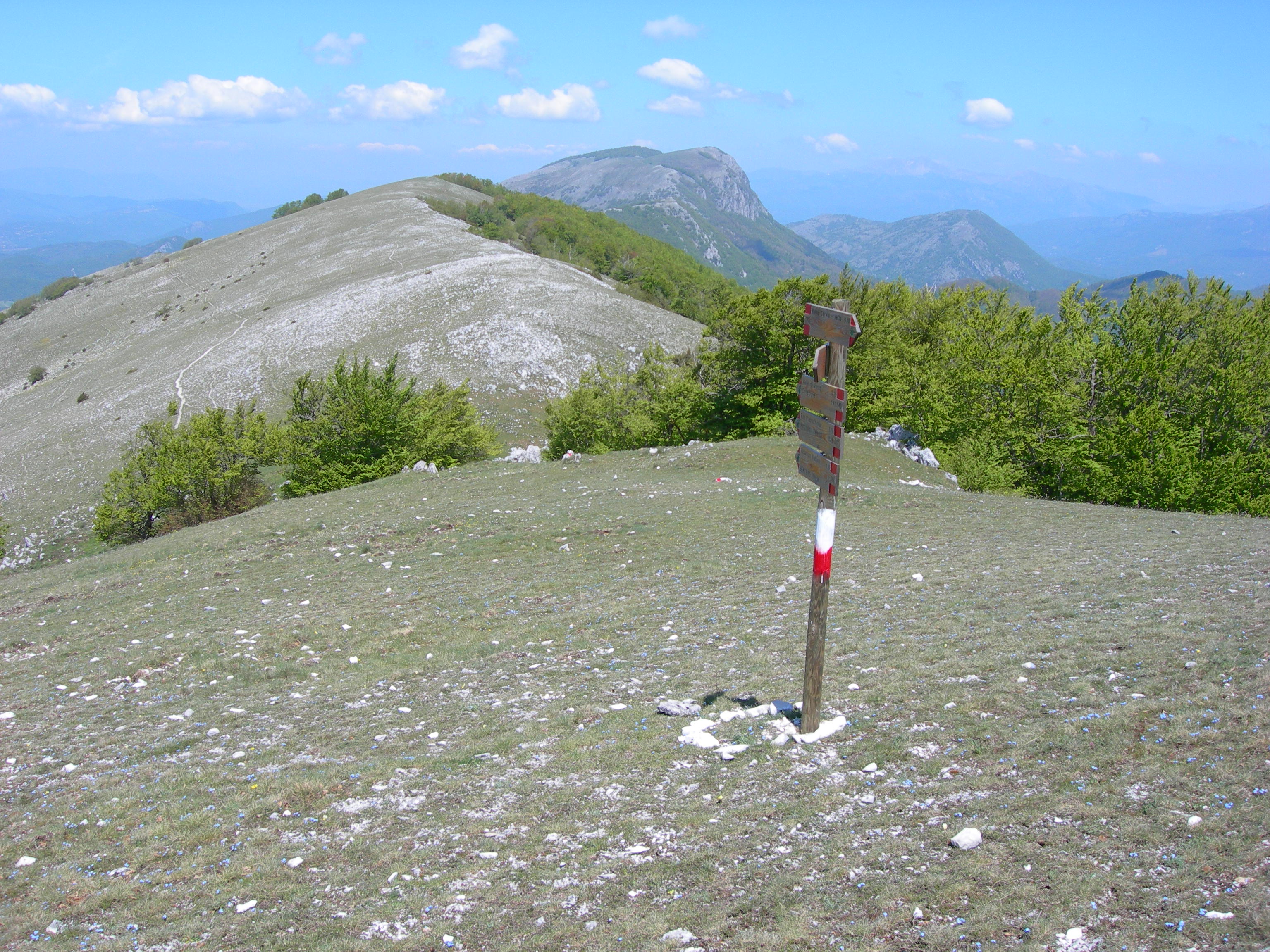 Lo Scarpone - Monte Cervia (1438 m)