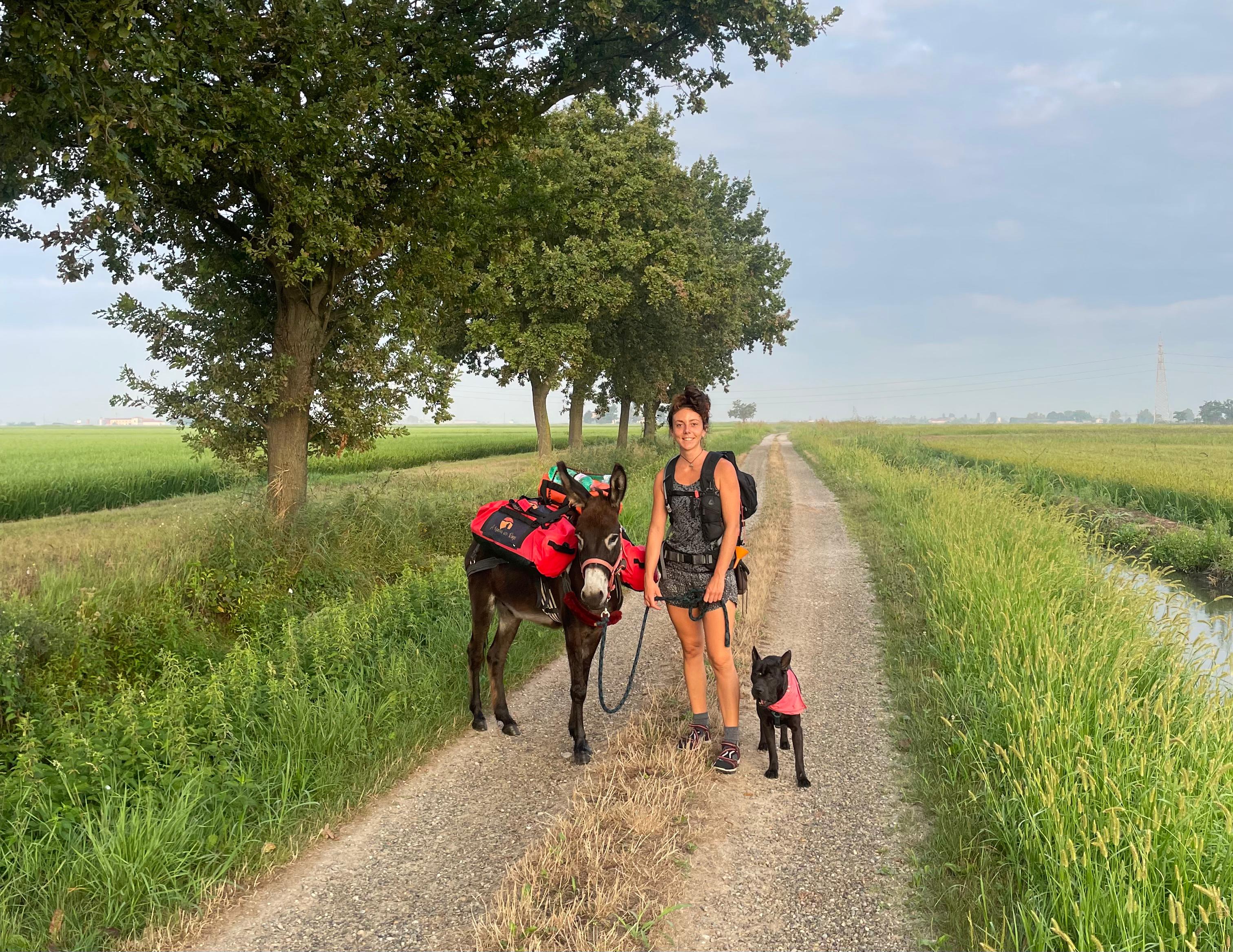 Lo Scarpone - A piedi lungo la via Francigena con Francesca, Rugo e Sheldon
