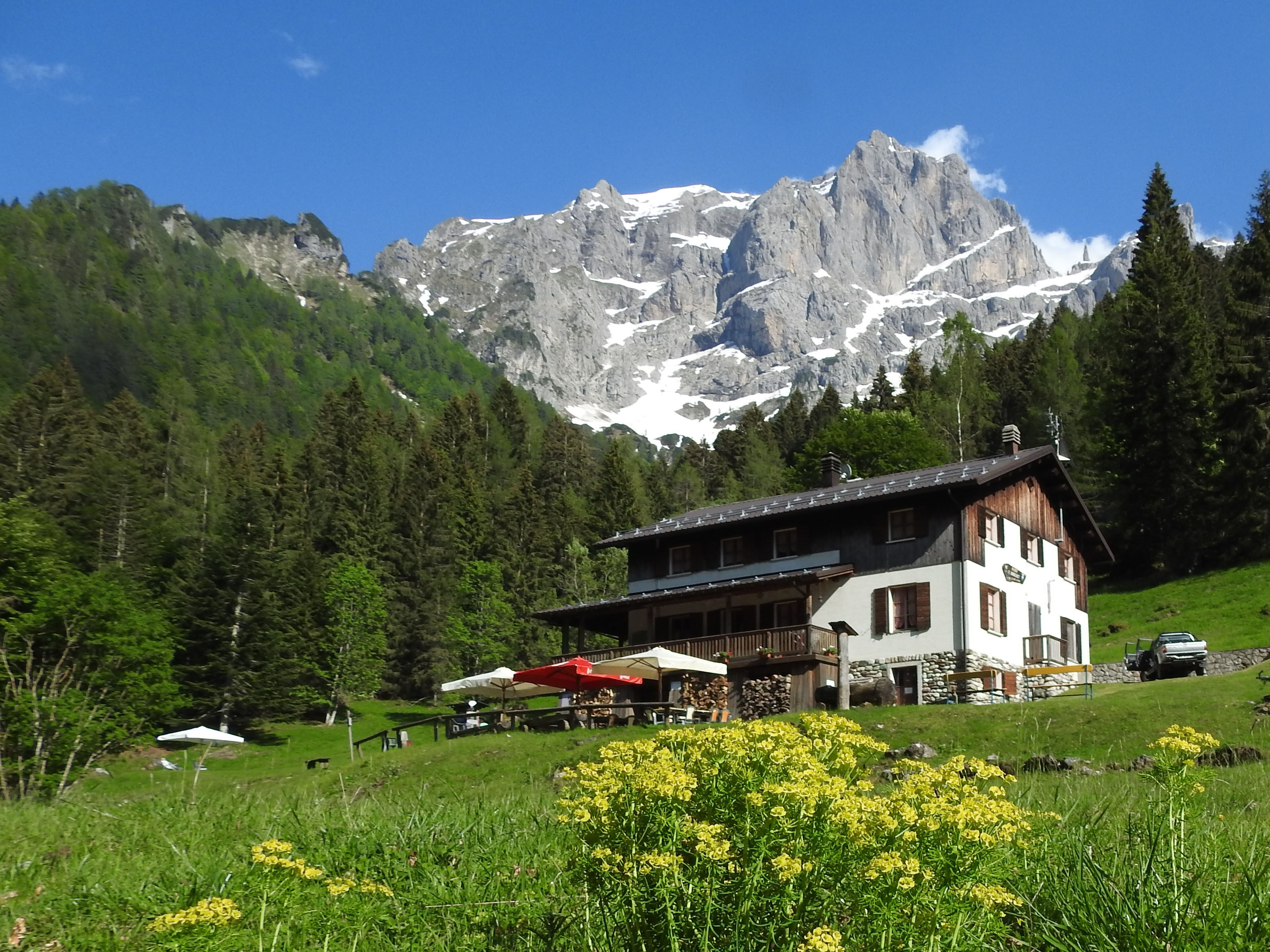 Lo Scarpone - Parchi per il clima: oltre un milione di euro al Parco ...