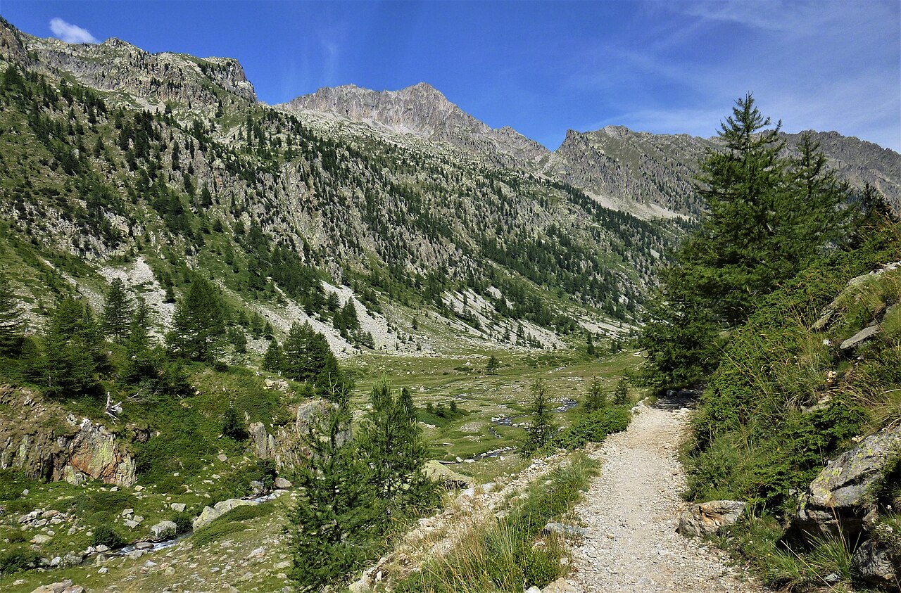 Lo Scarpone - Aree Protette Alpi Marittime alla ricerca di giovani ranger